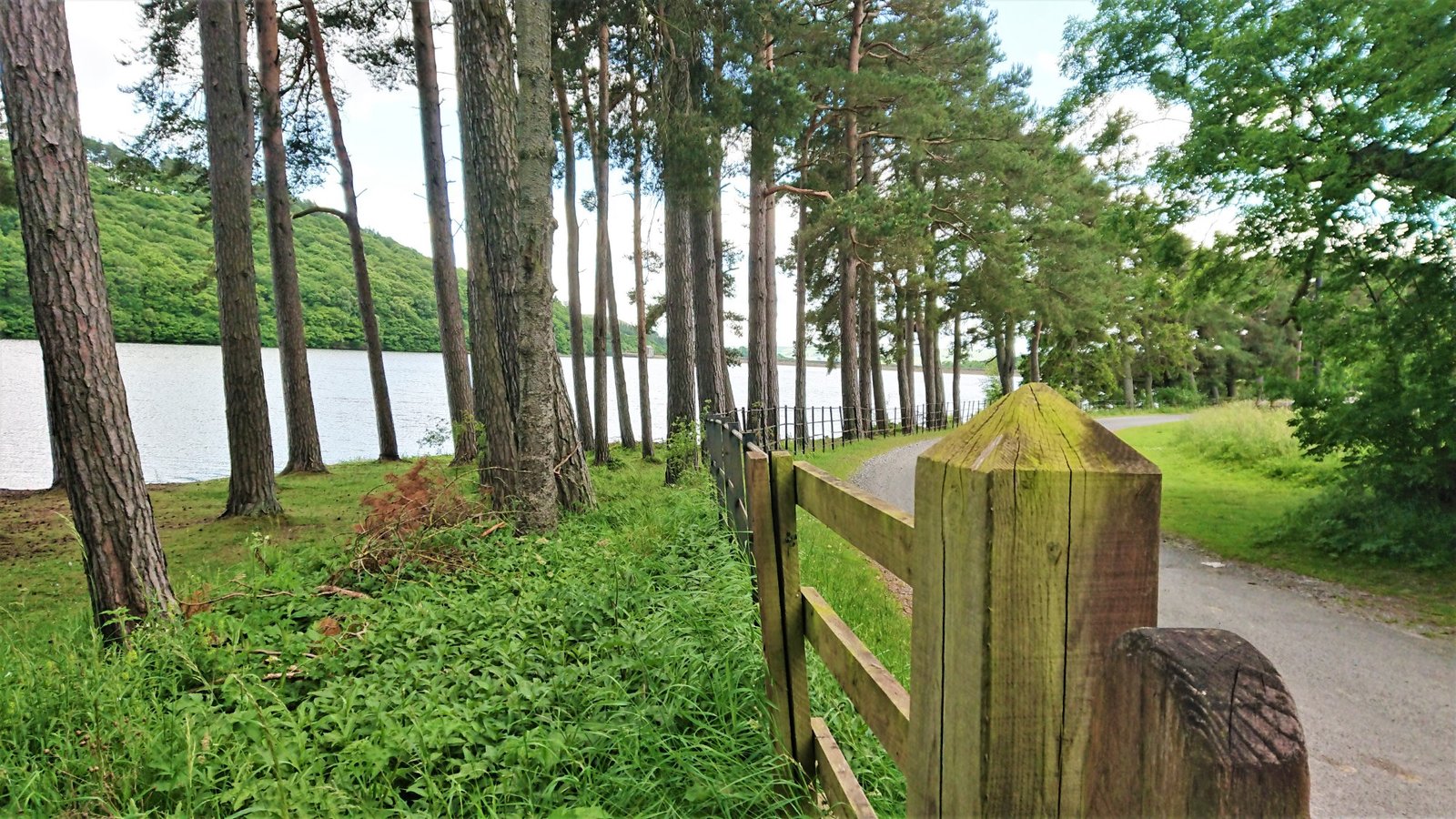 Tunstall Reservoir - 30th June 2019 - Strolls With Poles