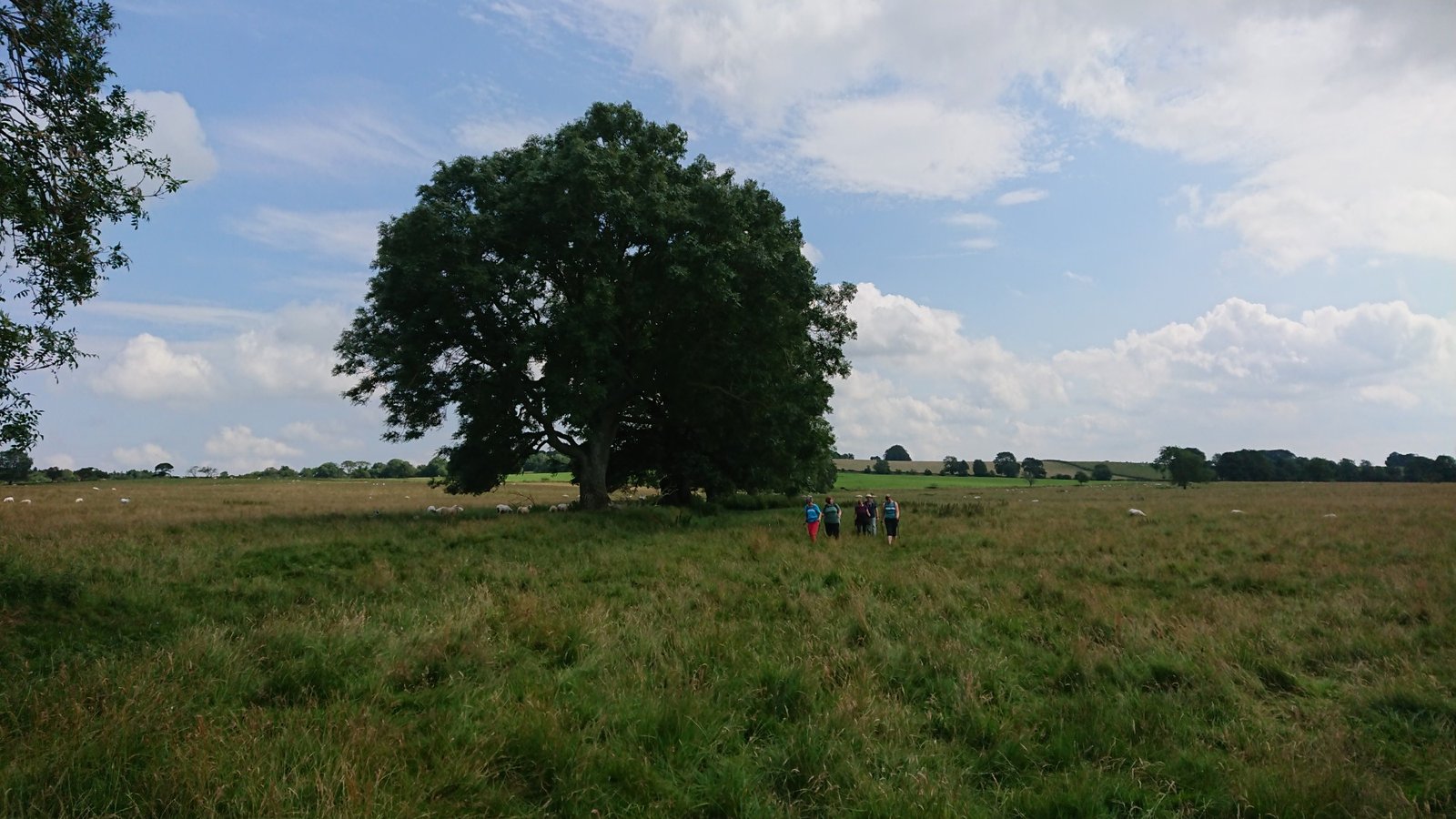 The Wannie Line - 4th August 2019 - Strolls With Poles - For Fun and ...