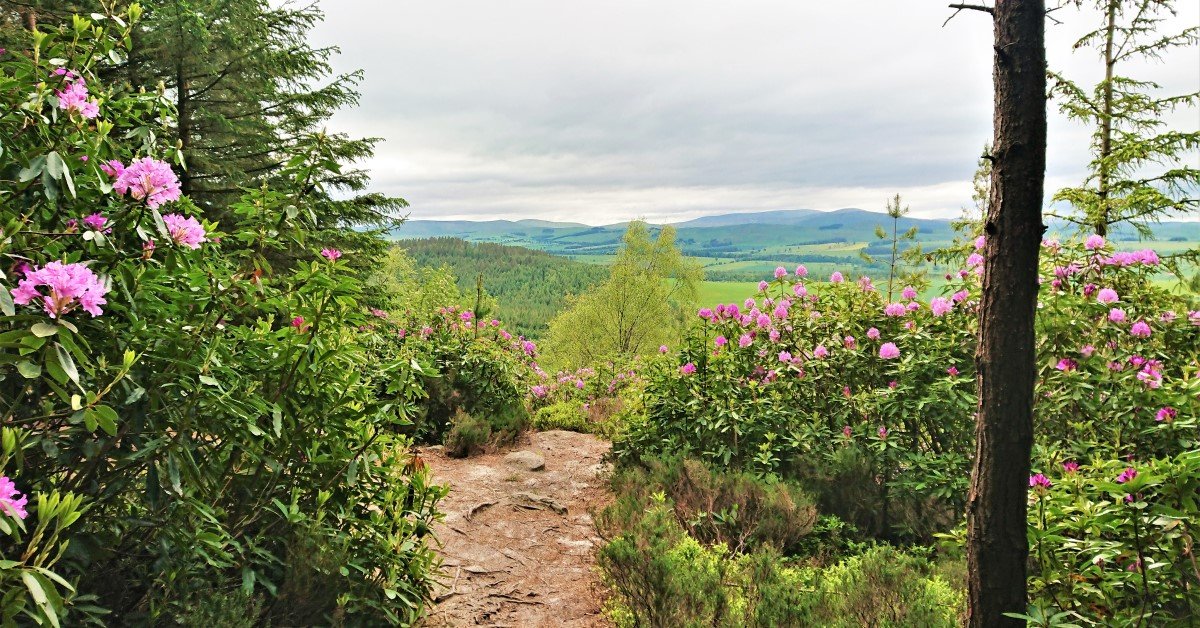Breamish Valley Hillforts - Jun 2022 - Strolls With Poles - Nordic Walking